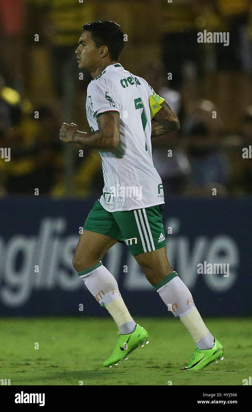 Novo Horizonte, Brazil. 02nd Apr, 2017. Dudu player, SE Palmeiras ...