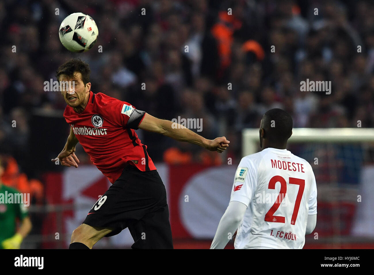 David modeste hi-res stock photography and images - Alamy