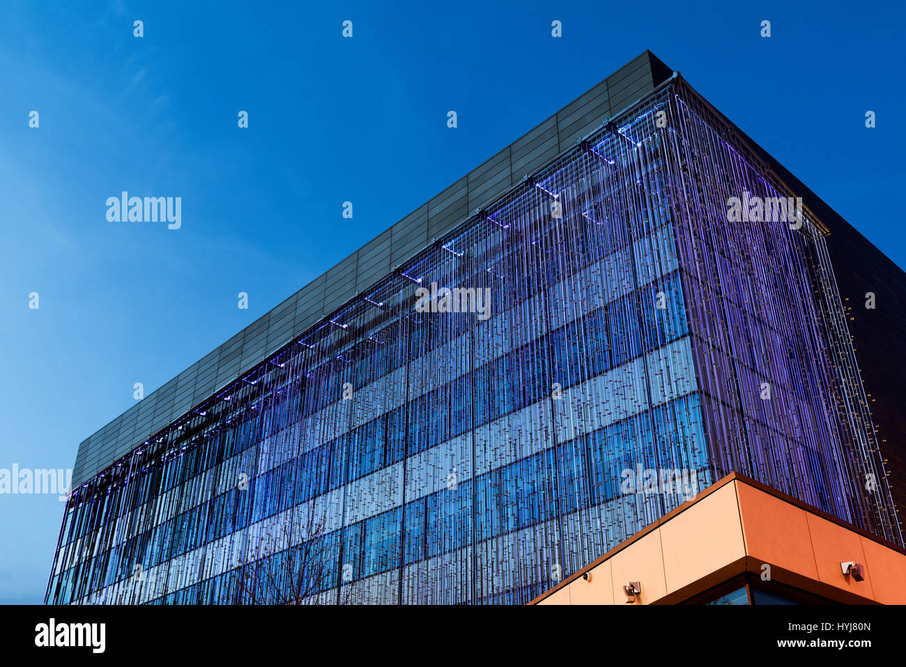Wolfgang buttress artist hi-res stock photography and images - Alamy