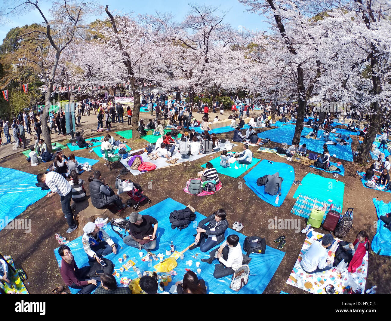 Tokyo, Japan. 5th Apr, 2017. Japanese people enjoy a picnic under the ...