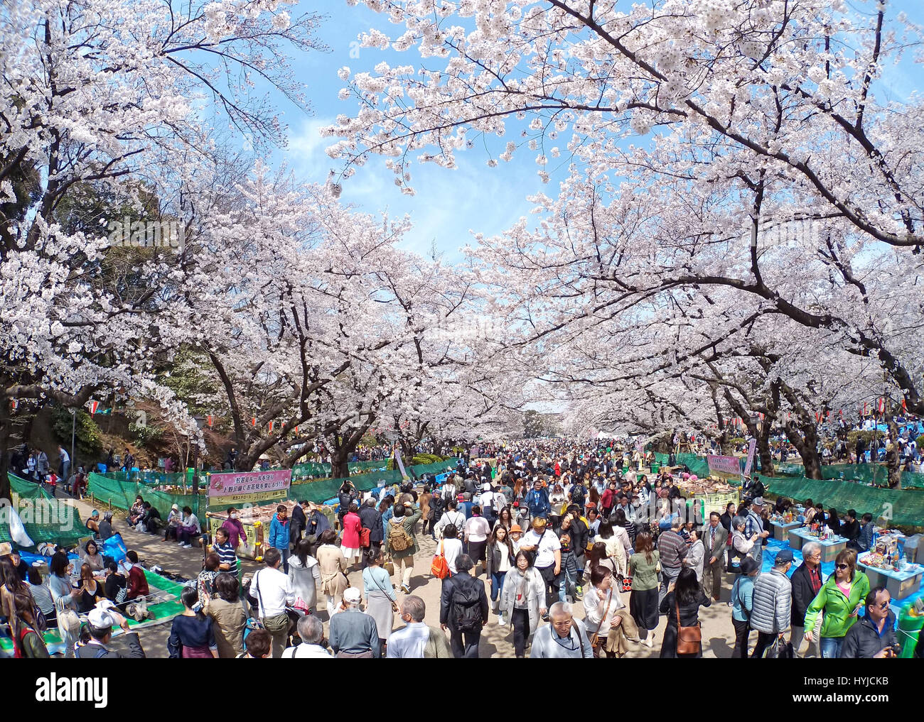 Japan flowers hi-res stock photography and images - Alamy