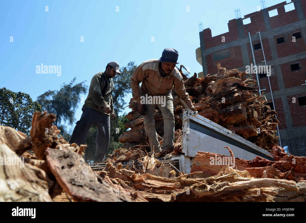 Cairo, Egypt. 3rd Apr, 2017. Egyptian workers collect a coal at a work ...