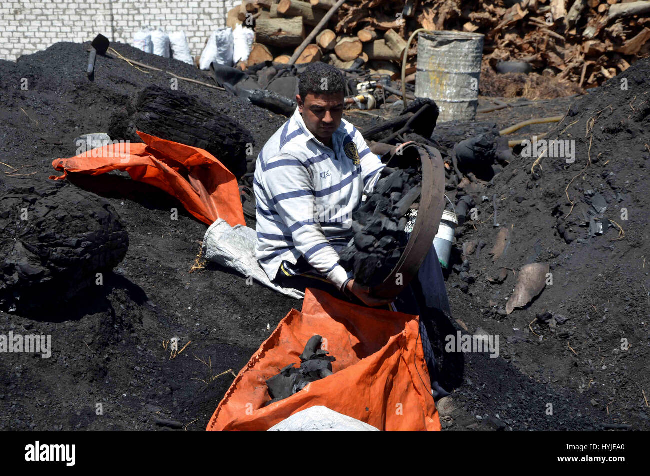 Cairo, Egypt. 3rd Apr, 2017. Egyptian workers collect a coal at a work ...