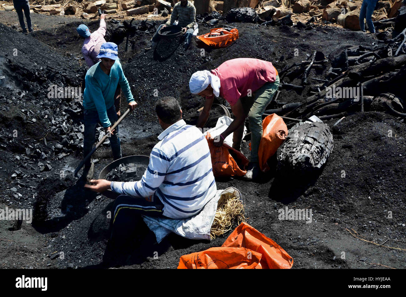 Field workers, egypt hi-res stock photography and images - Alamy