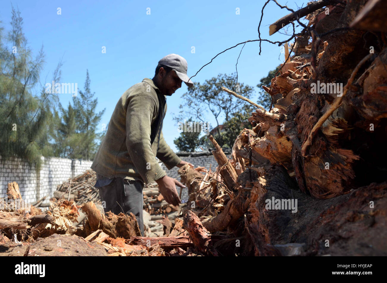 Cairo, Egypt. 3rd Apr, 2017. Egyptian workers collect a coal at a work ...