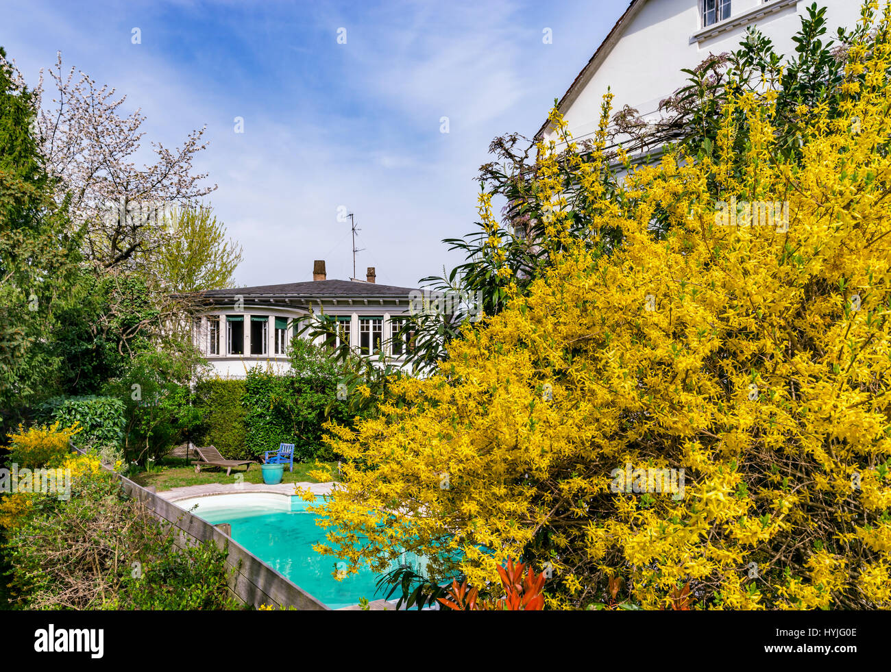 Private swimming pool at springtime, blossoming trees, Strasbourg Stock ...