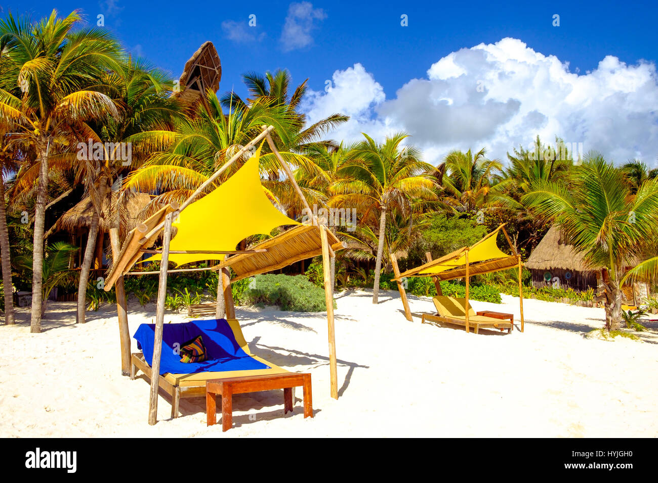 Tranquil scene of ocean beach with palm trees and relaxation beds ...