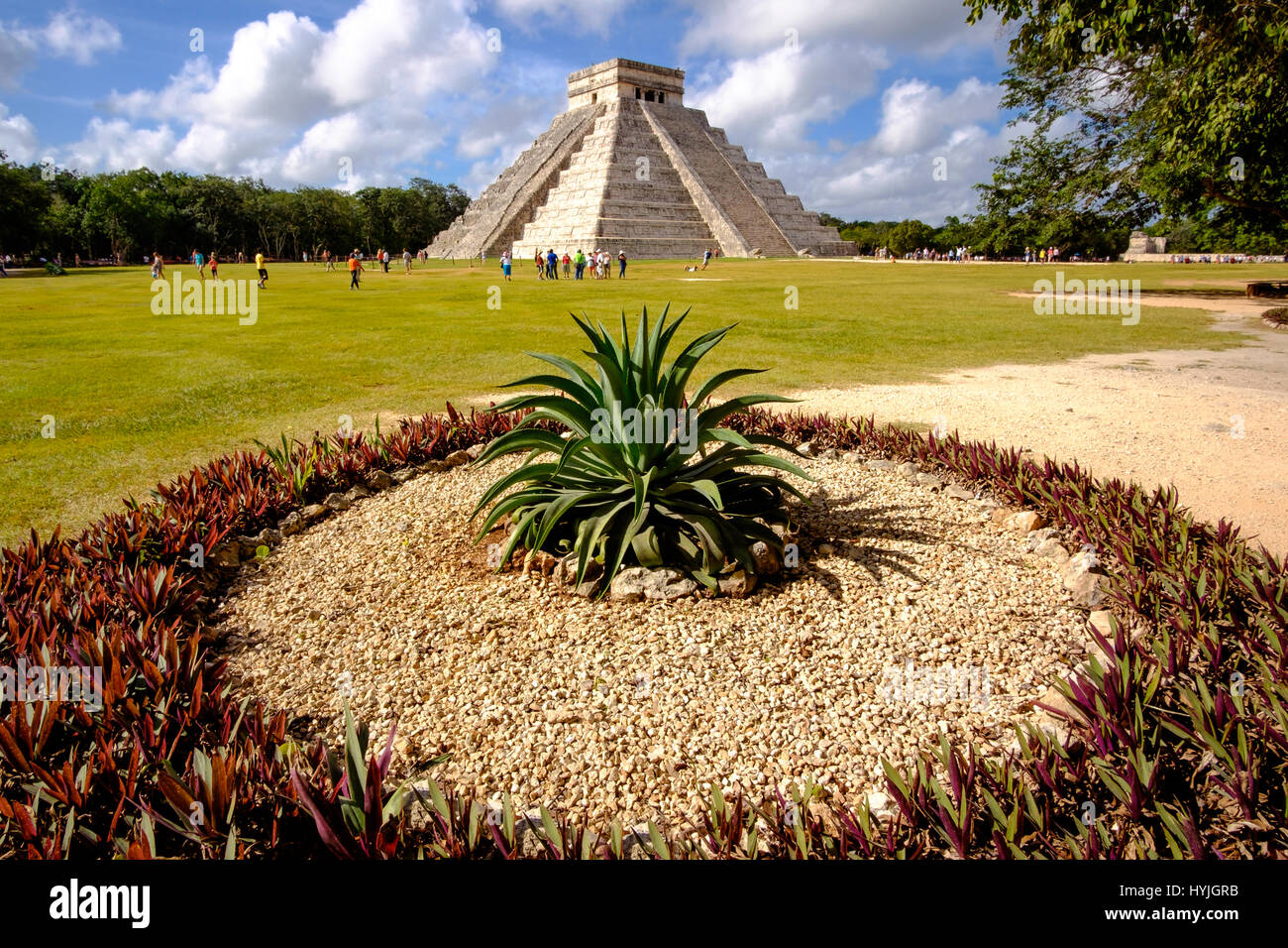 Landscape view of famous Chichen Itza pyramid with cactus in foreground ...