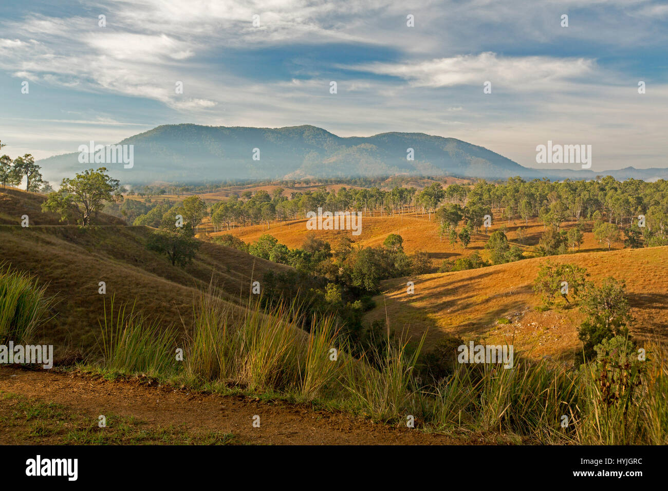 Vast rural landscape at dawn with rolling hills with golden grasses ...