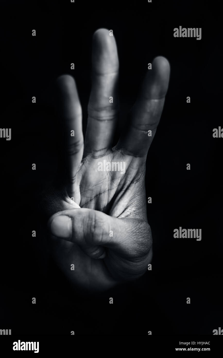 American Sign Language (ASL) is the predominant sign language of Deaf ...