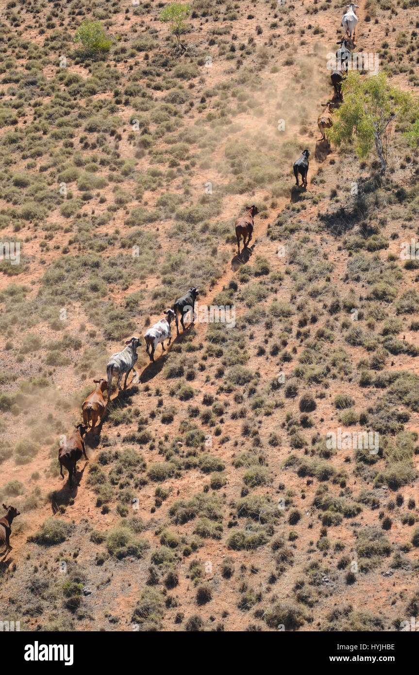 Geraldton area australia hi-res stock photography and images - Alamy