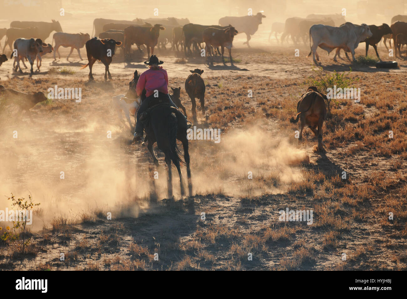 Cattle Station Australia Aerial High Resolution Stock Photography and ...