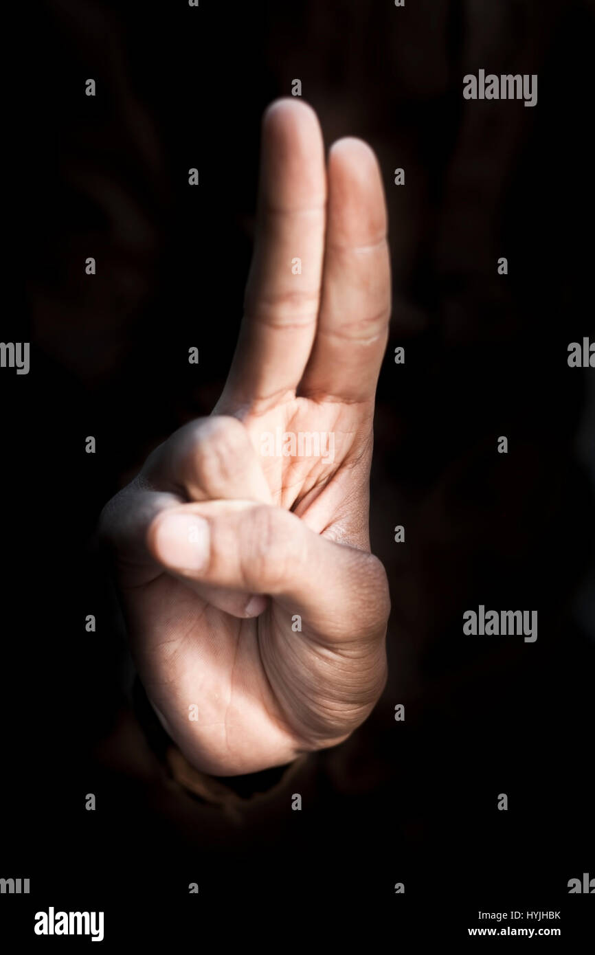 American Sign Language (ASL) is the predominant sign language of Deaf ...