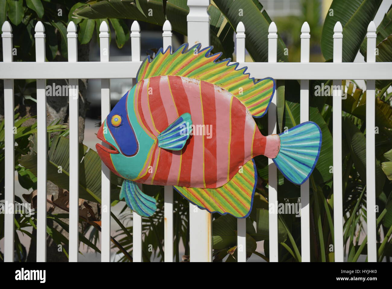 Fish fence hi-res stock photography and images - Alamy