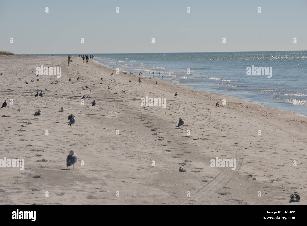 Beach line hi-res stock photography and images - Alamy