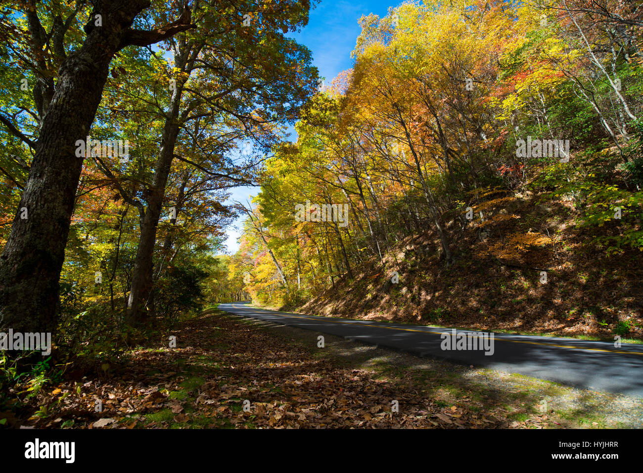 autumn trees color change with road Stock Photo - Alamy