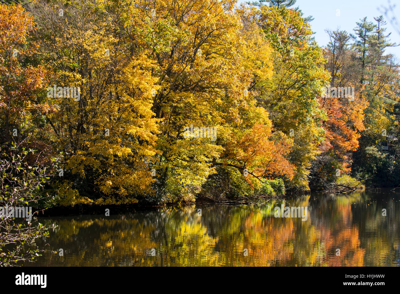 fall trees color reflection in lake Stock Photo - Alamy