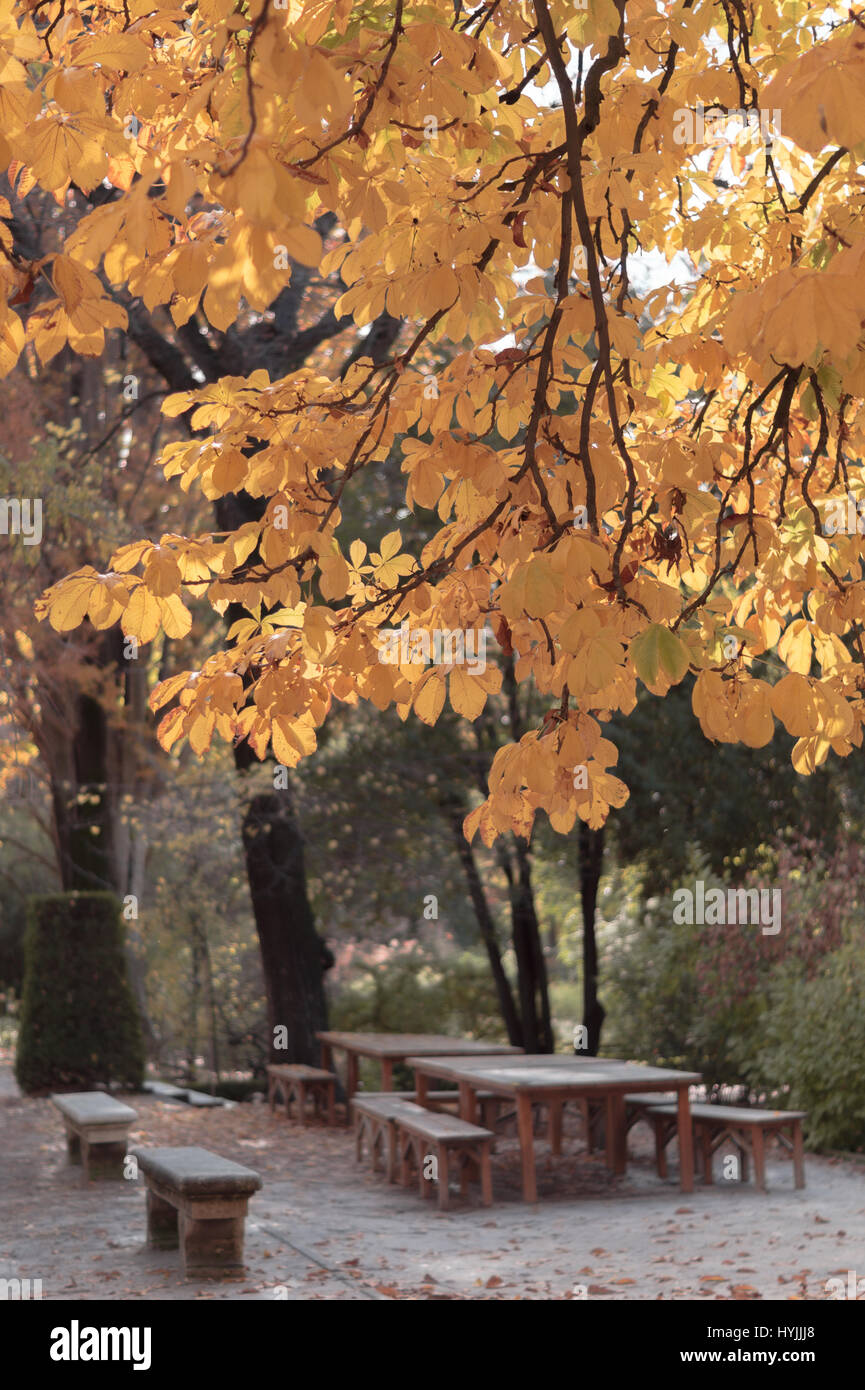 Table and bench in a park Stock Photo - Alamy