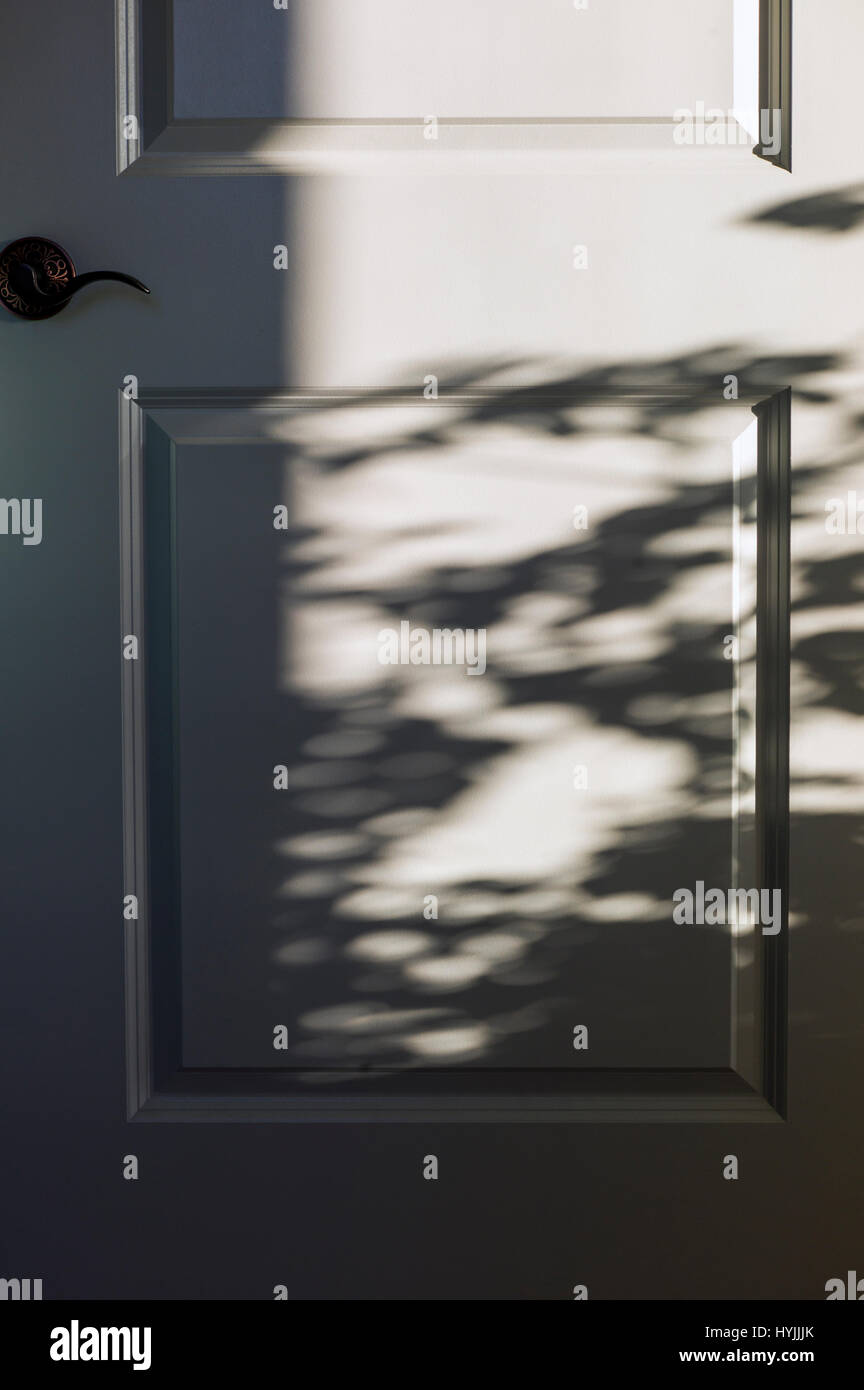 Dappled sunlight creates abstract shadows on white door Stock Photo - Alamy