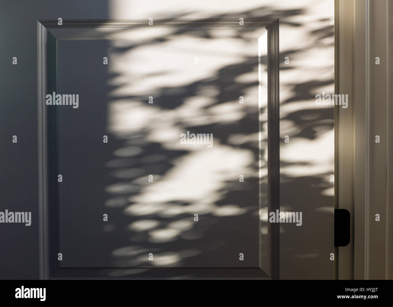 Dappled sunlight creates abstract shadows on white door Stock Photo - Alamy