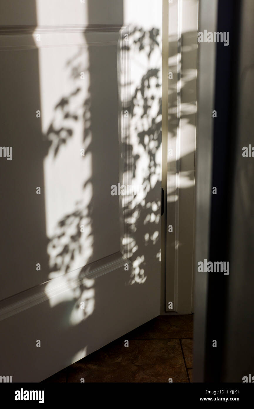 Dappled sunlight creates abstract shadows on white door Stock Photo - Alamy