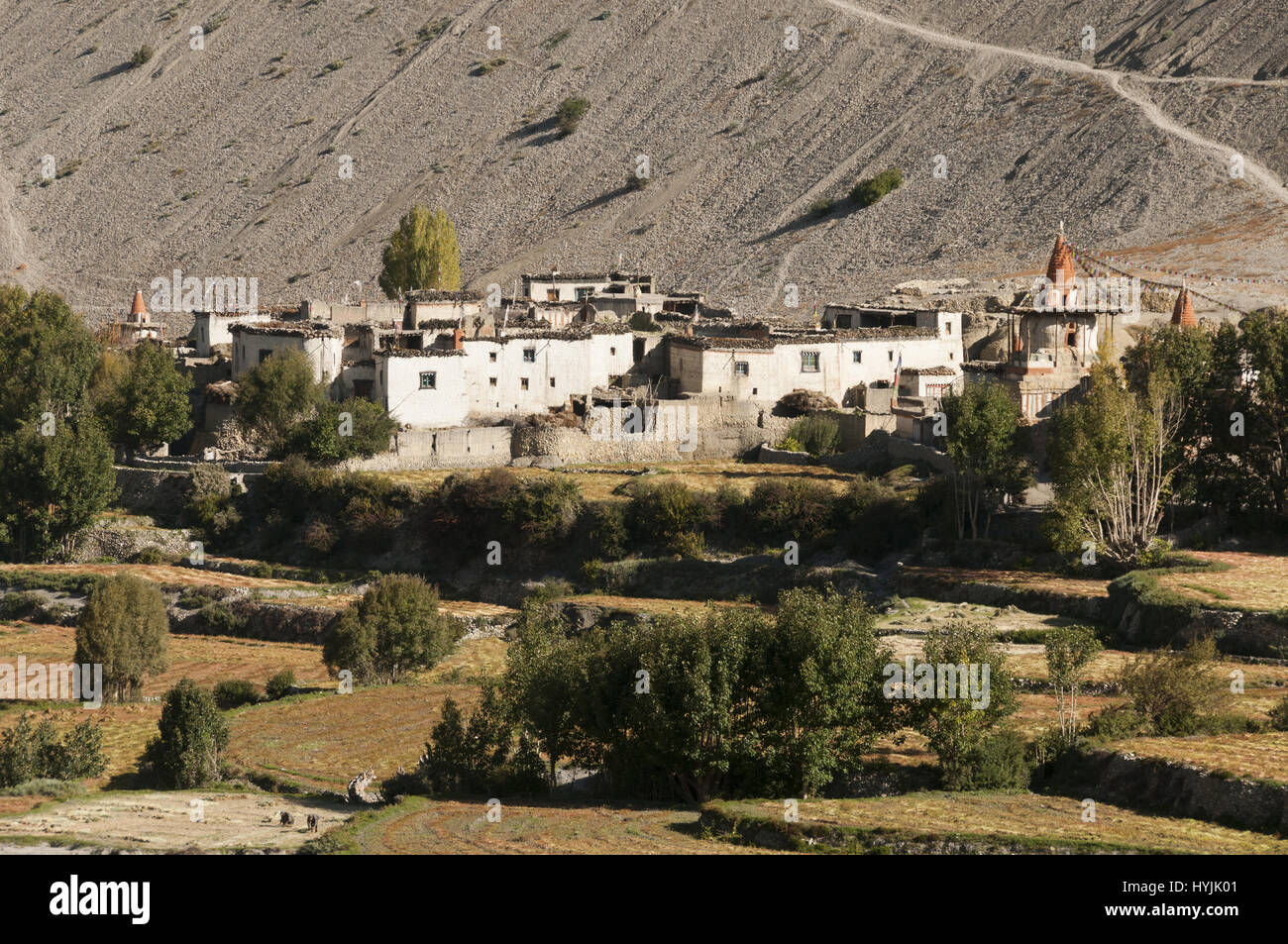 Nepal, Mustang trek, Tangge village and fields Stock Photo - Alamy
