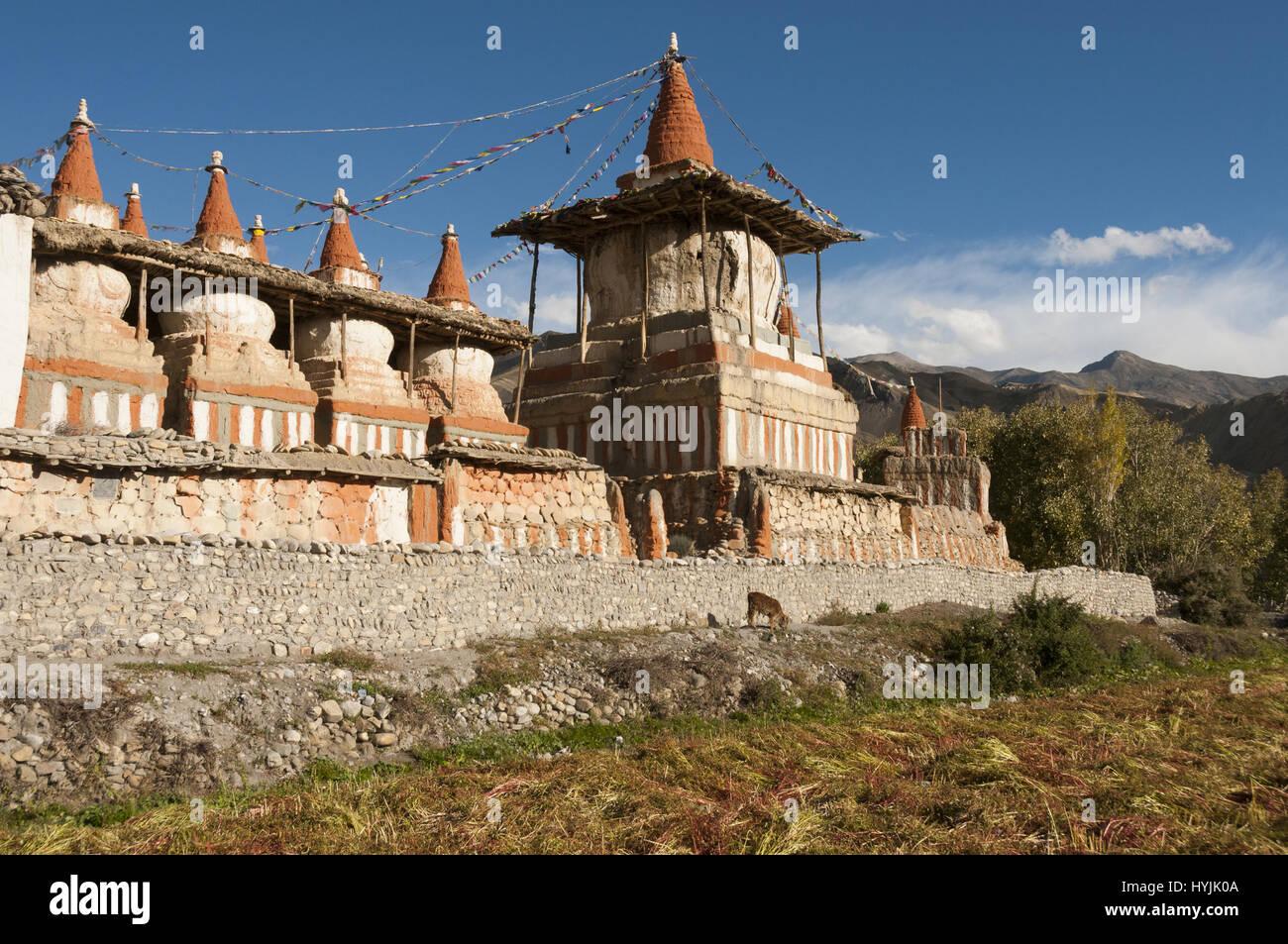 Mustang trek hi-res stock photography and images - Alamy