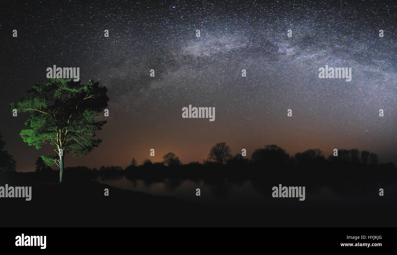 Real Milky Way in sky over pine tree. Starry night over meadow ...
