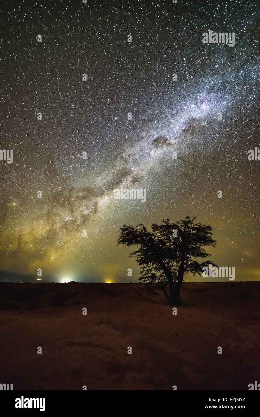 Atacama night sky - A tree under the the Milky Way, Chile Stock Photo ...