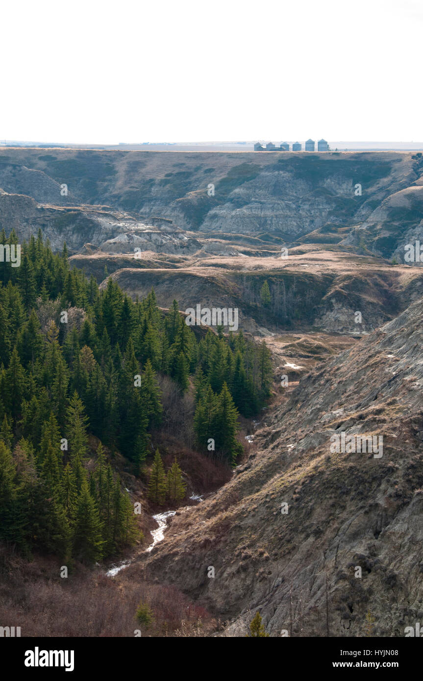 Horseshoe Canyon Alberta Stock Photo - Alamy