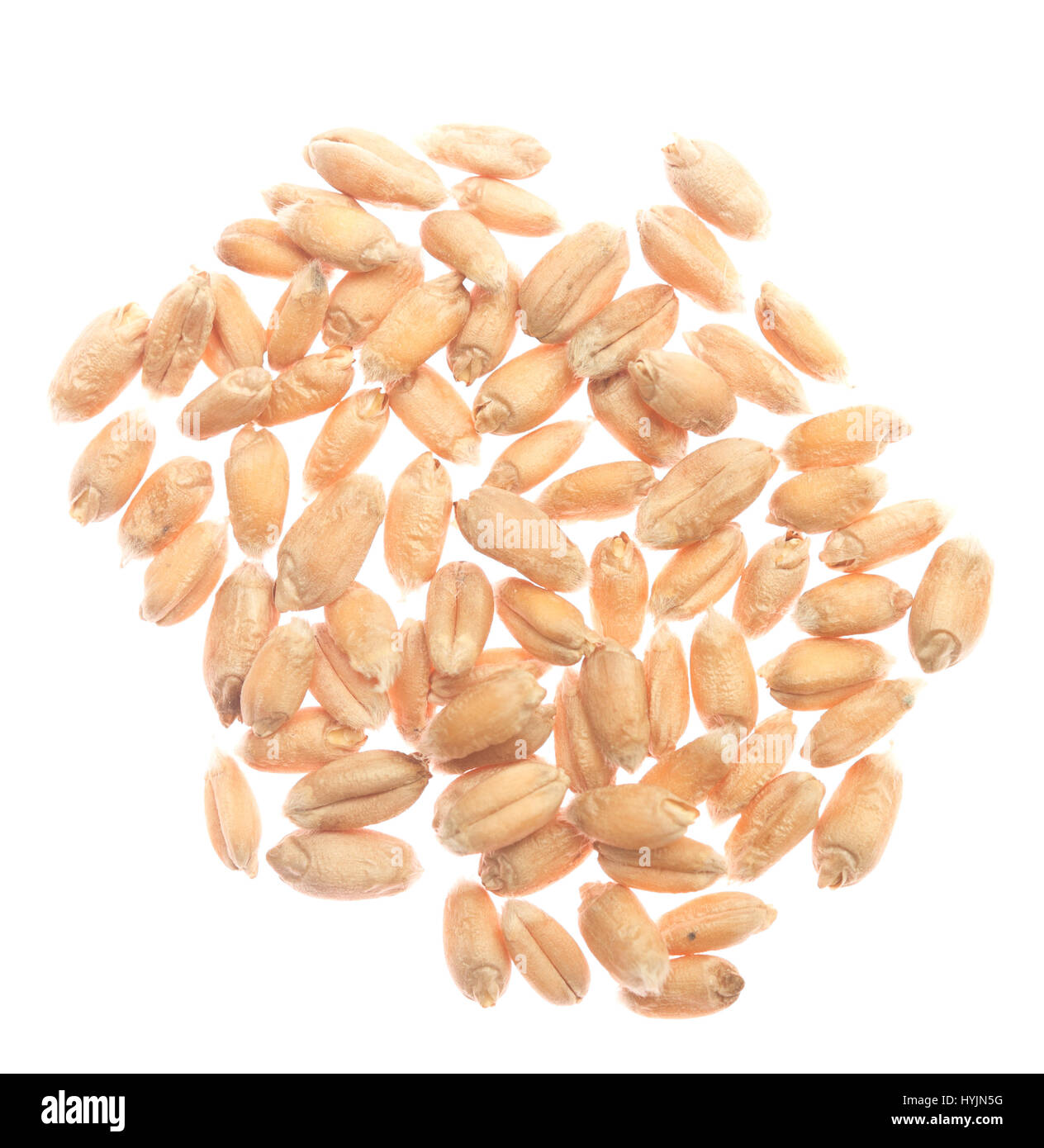 wheat isolated on white background Stock Photo - Alamy
