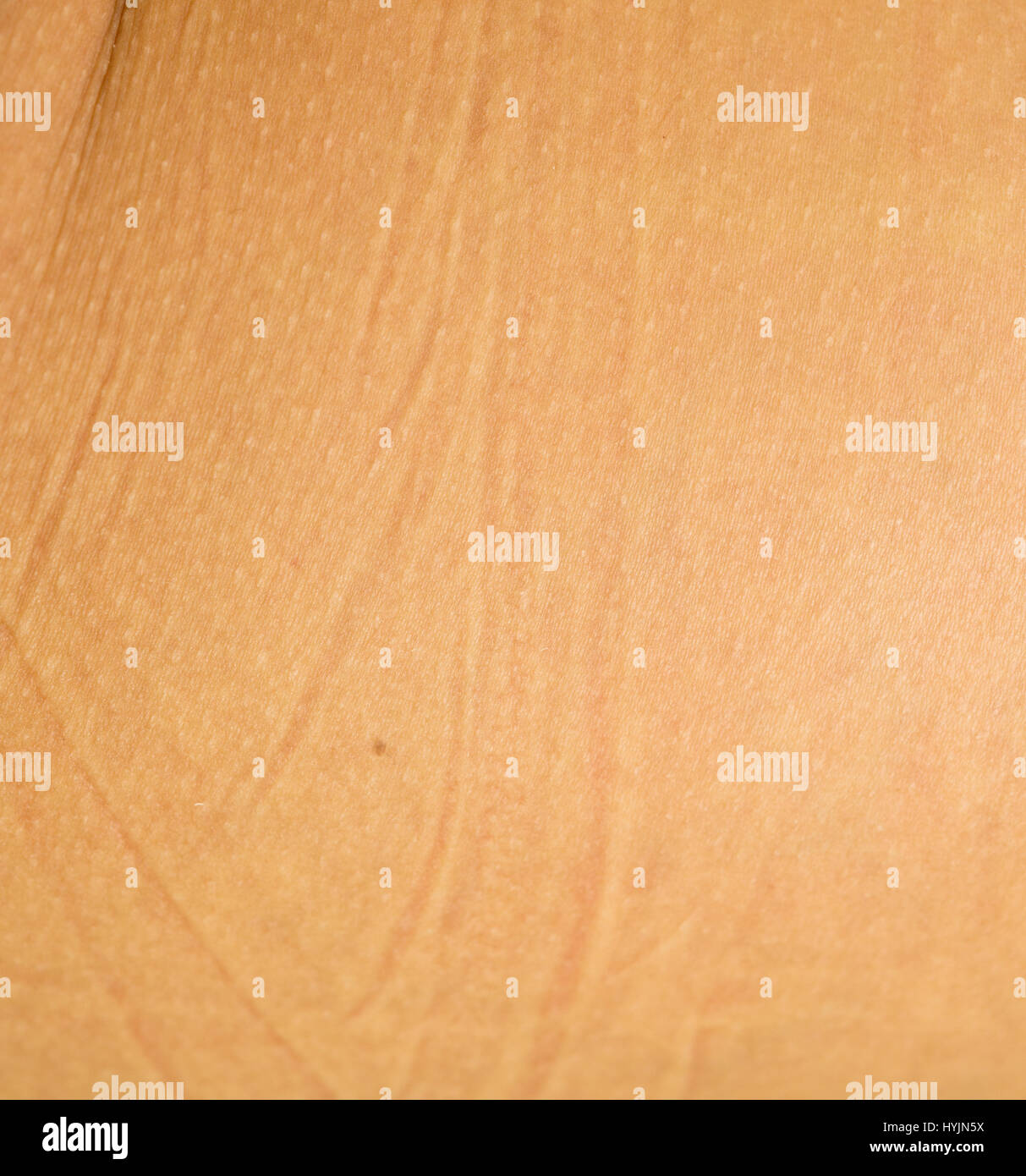 wrinkled human skin Stock Photo - Alamy