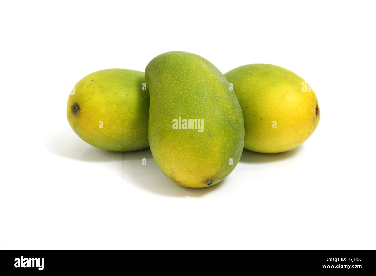 beautiful and appetizing of green-yellow mangoes on white background ...