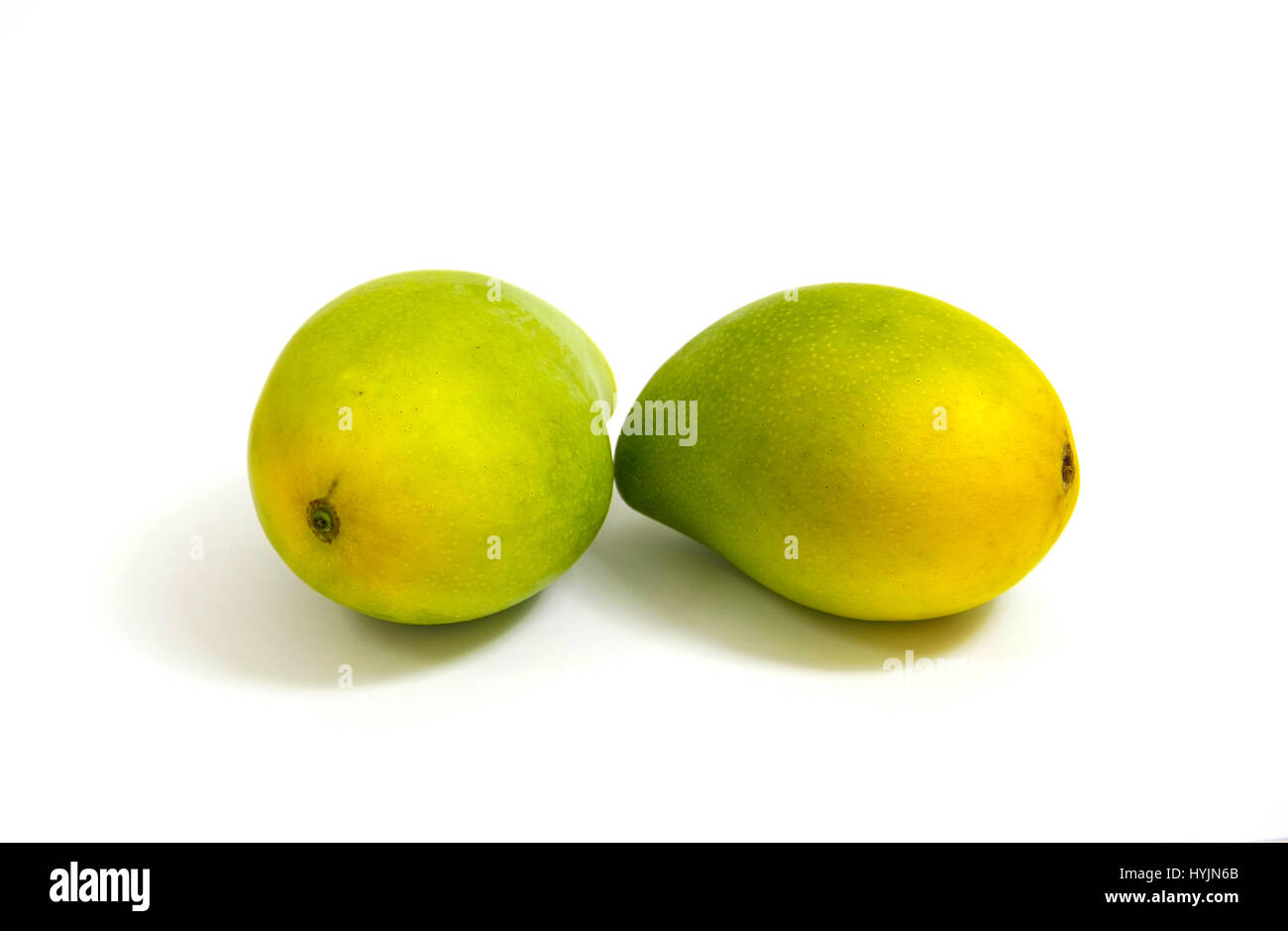 beautiful and appetizing of green-yellow mangoes on white background ...