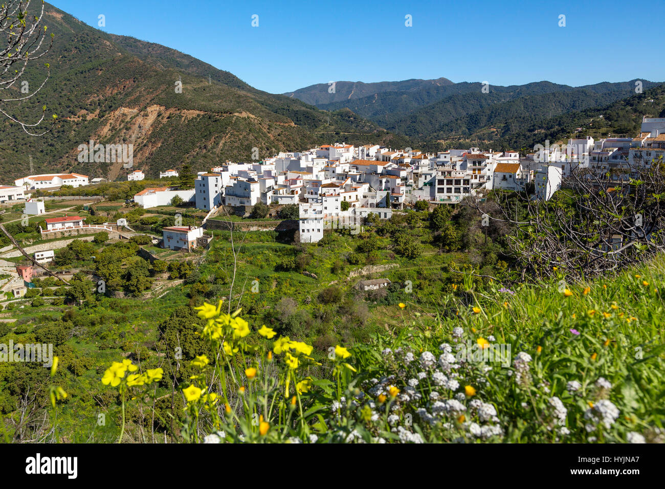 White village of Istan. Natural Park Sierra de las Nieves. Malaga ...