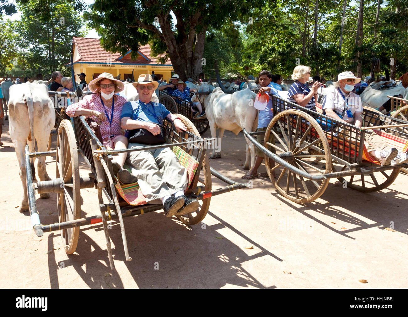 Tourists sitting in ox carts waiting to be taken for a ride near Siem ...