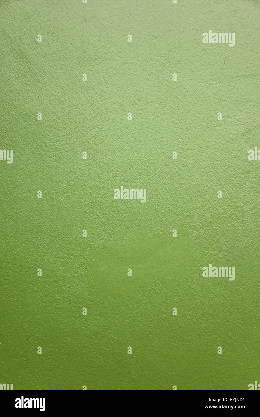 beautiful new green color pote for background and wallpaper Stock Photo ...
