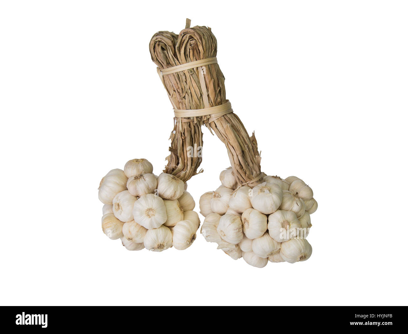 String of garlic bulbs isolated on white background Stock Photo - Alamy
