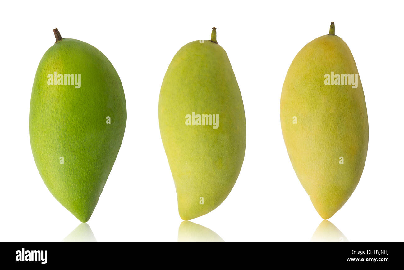 Set of mango fruit isolated on white background Stock Photo - Alamy