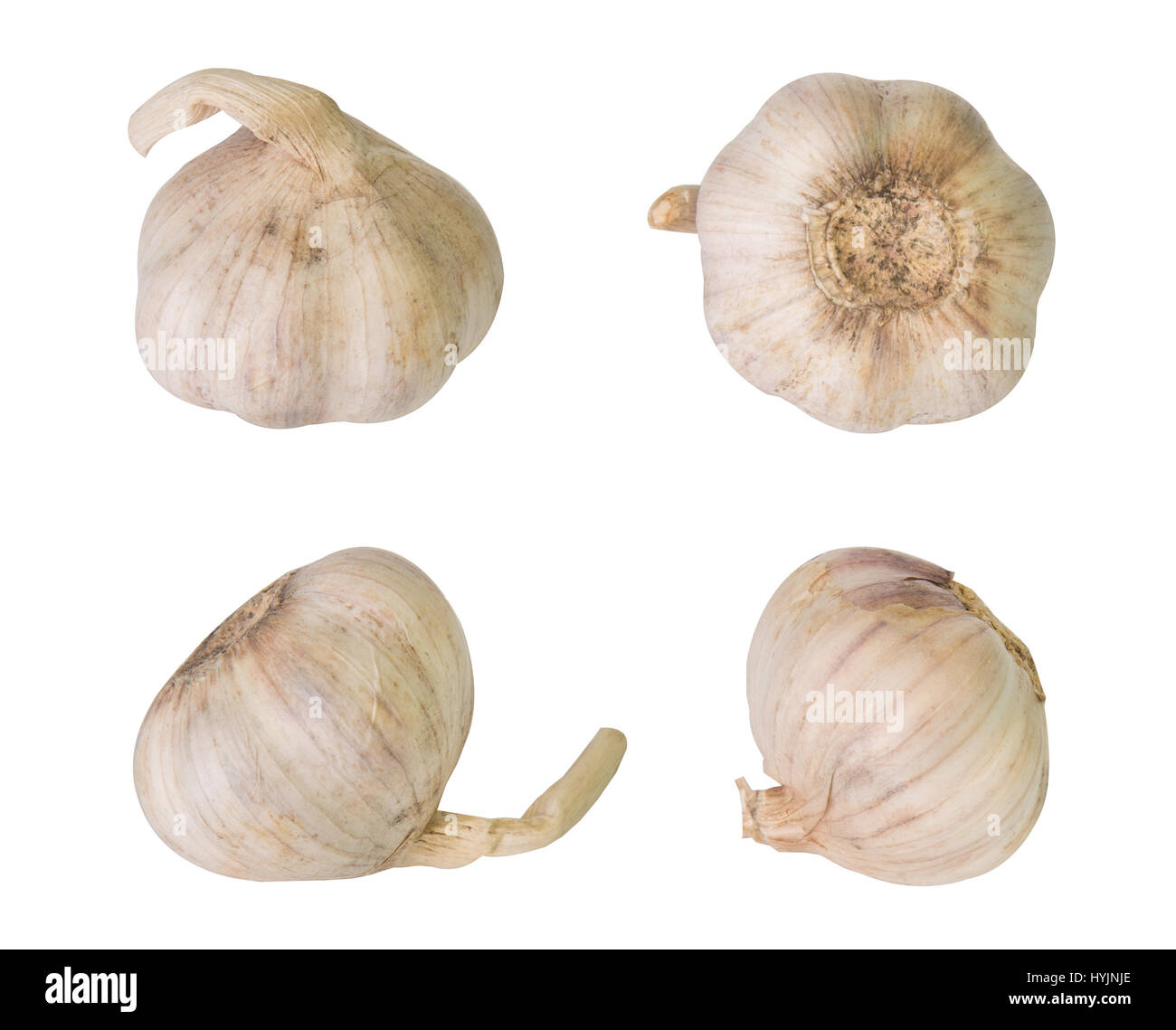 Garlic set isolated on white background Stock Photo - Alamy