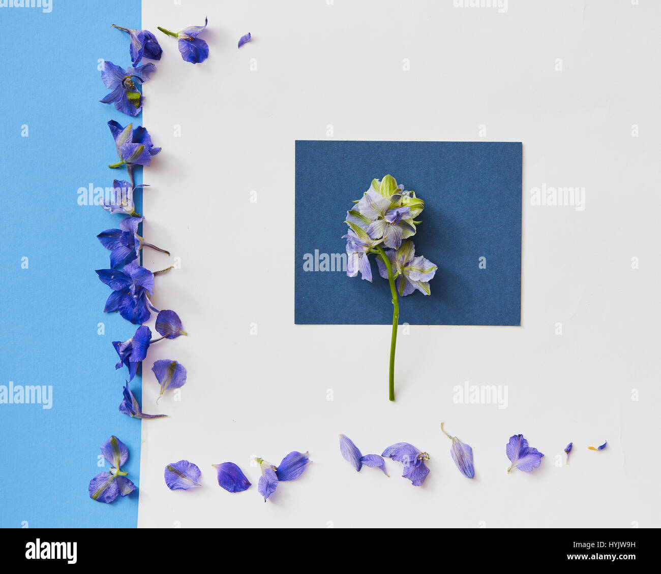 Frame of spring flowers Stock Photo - Alamy