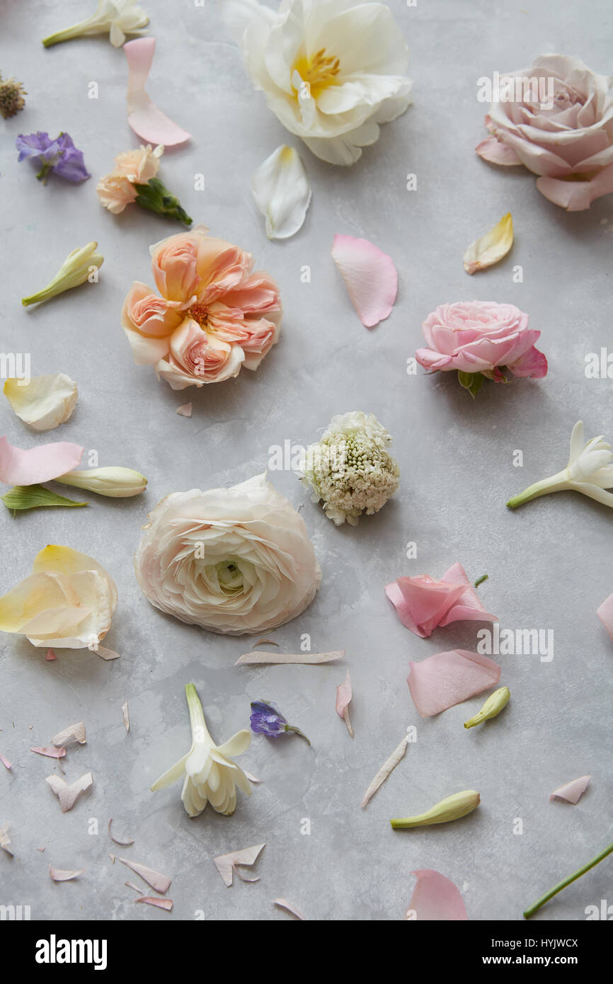 Multicolor flower background Stock Photo - Alamy