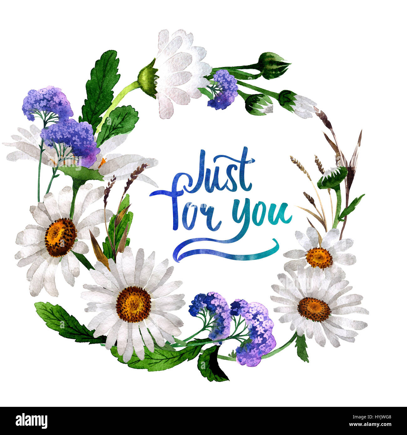 Wildflower chamomile flower frame in a watercolor style isolated Stock ...