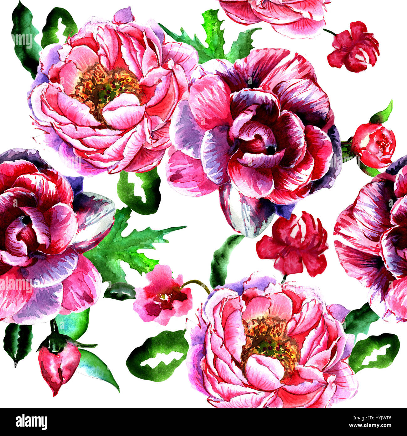 Wildflower peony flower pattern in a watercolor style isolated Stock ...