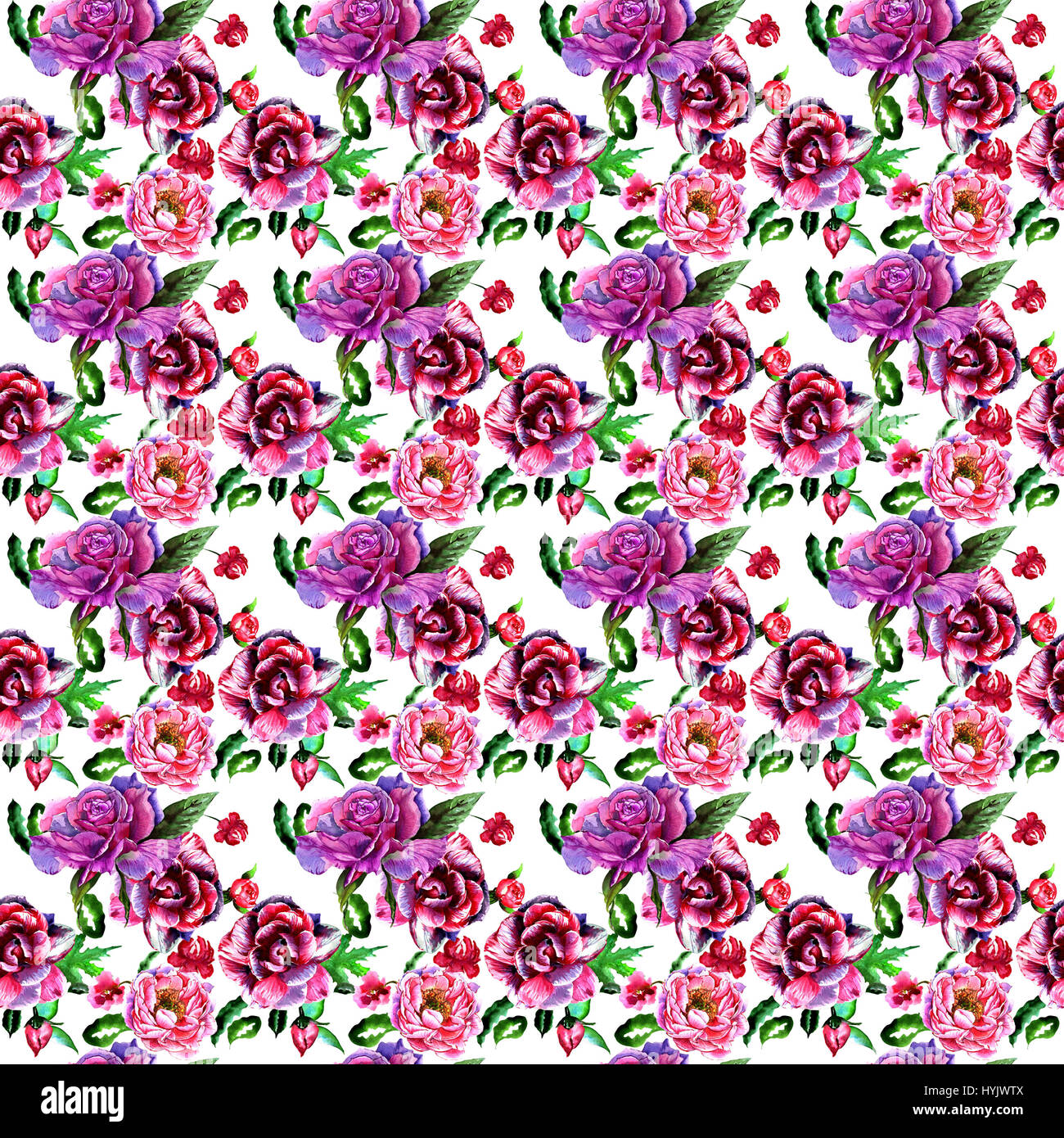 Wildflower peony flower pattern in a watercolor style isolated Stock ...