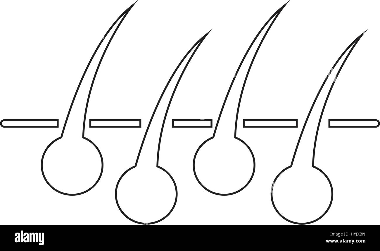 Hair cortex Stock Vector Images - Alamy