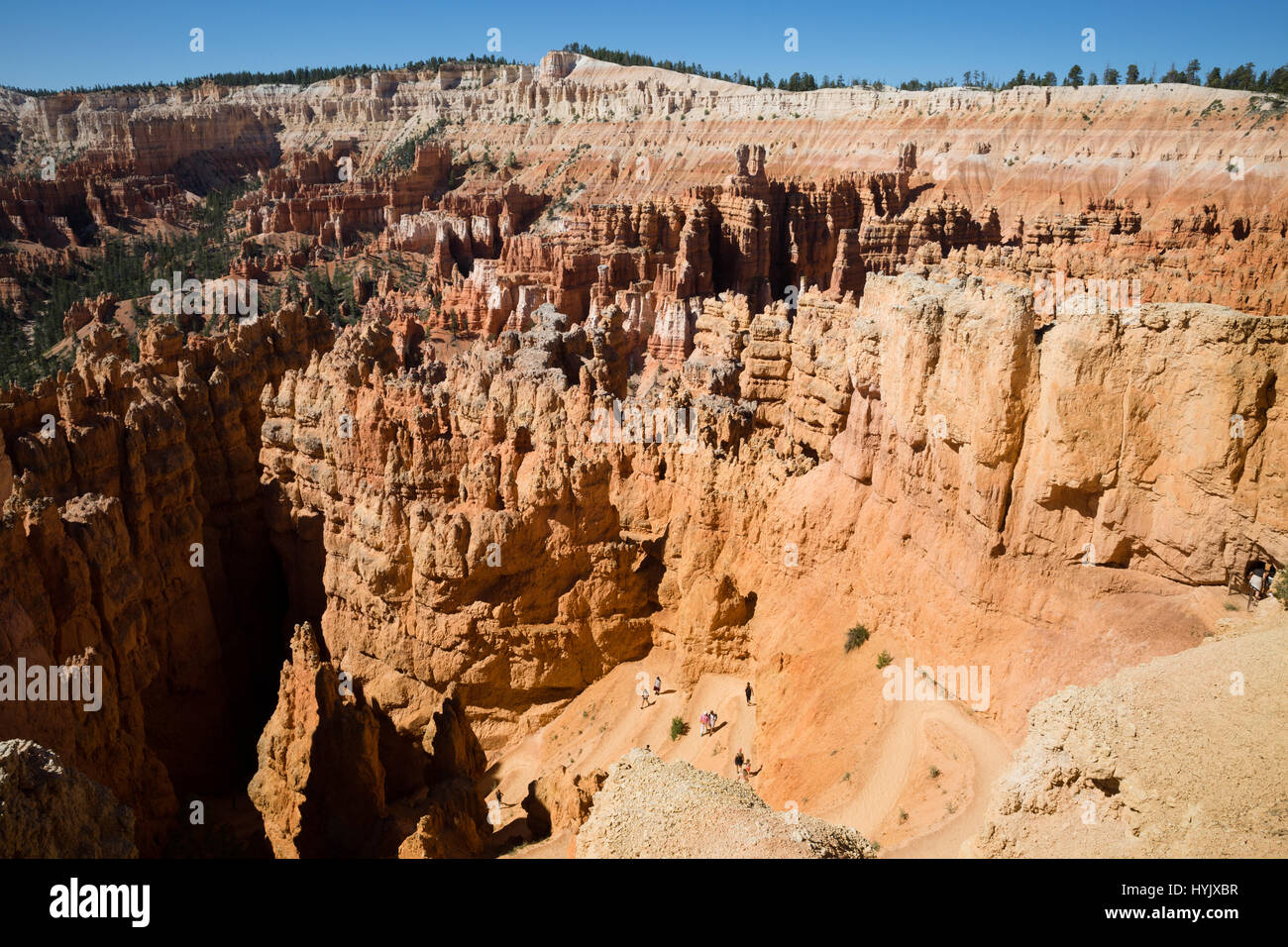 USA,Utah,Bryce Canyon National Park Stock Photo - Alamy
