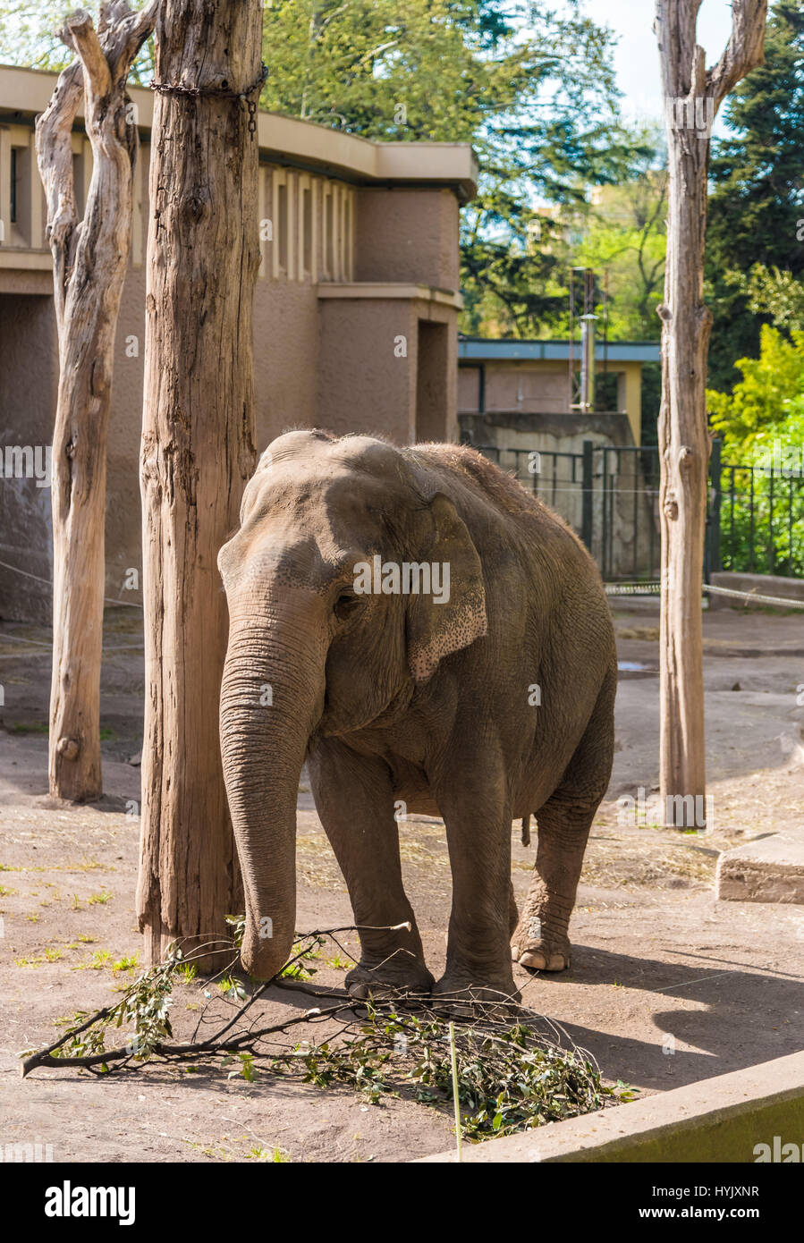 Rome, Italy - The animals of the Biopark, a zoological park in the ...