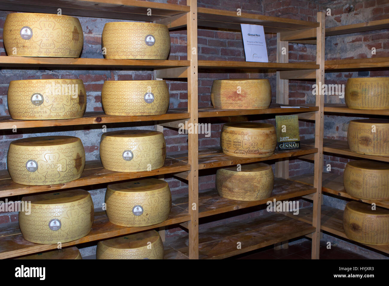 Eataly famous food store market: collection of Parmigiano cheese dop ...