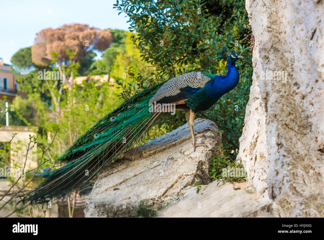 Rome, Italy - The animals of the Biopark, a zoological park in the ...